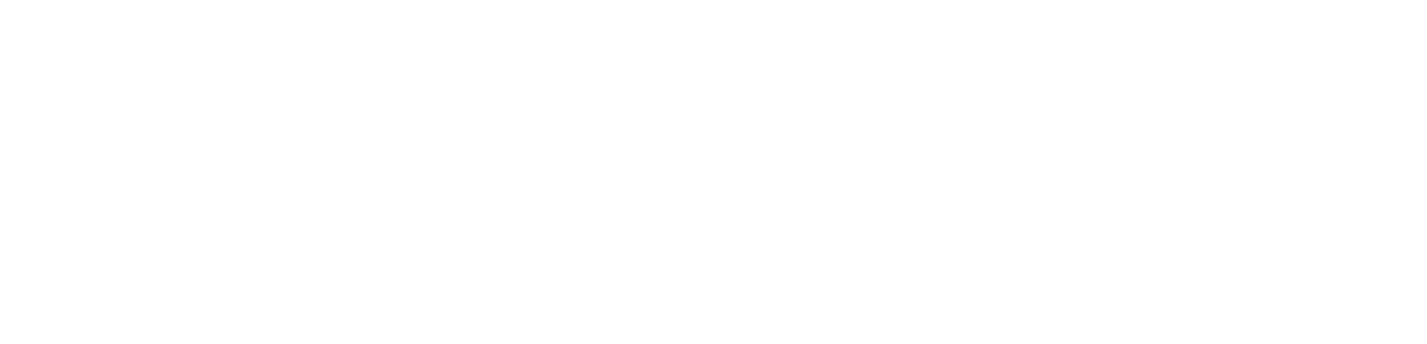 Search – Cycles Tulipp